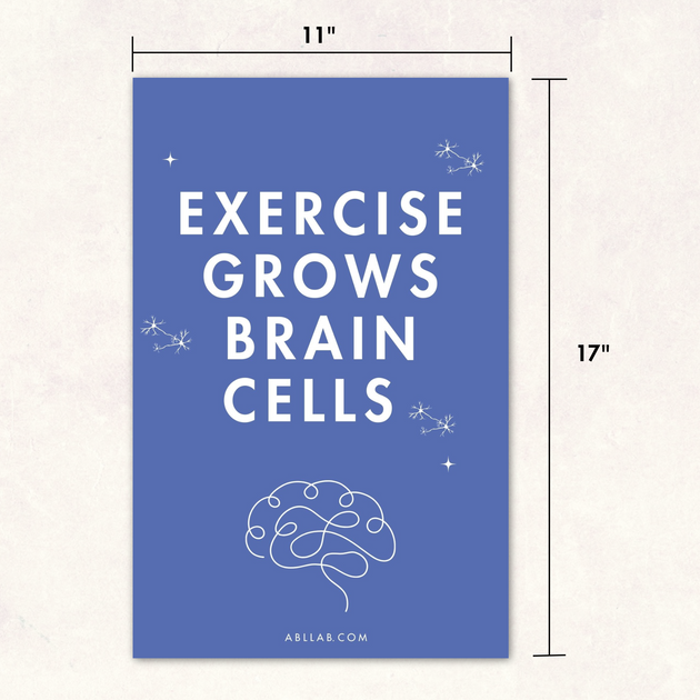 Exercise Grows Brain Cells Poster Set | Action Based Learning